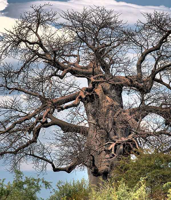 Activities | Tsumkwe Country Lodge